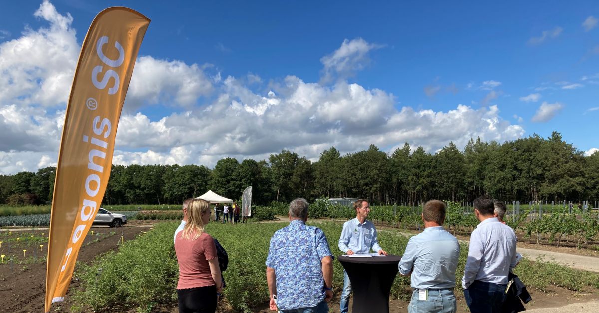 Jan Koopman: 'Dagonis SC is een mooie, zeer welkome aanvulling'