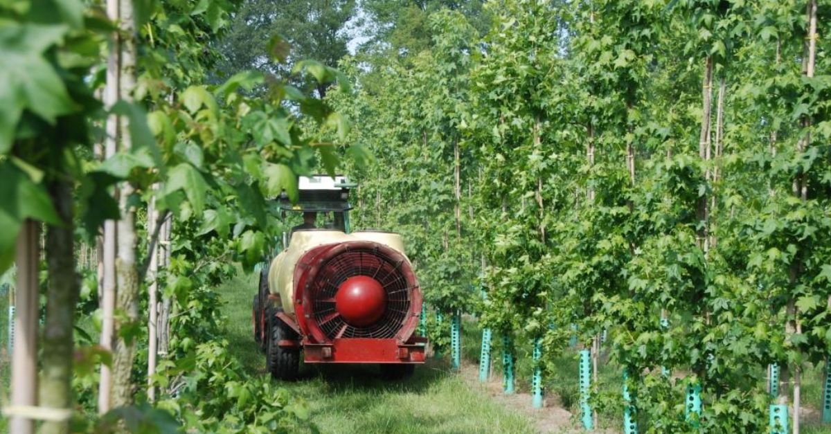 'In 2025 dertig procent van gewasbeschermingsmiddelen 'groen''