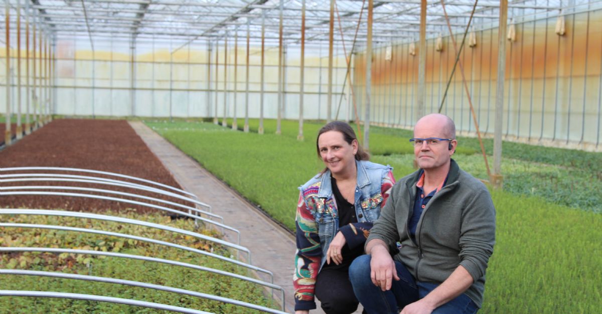 Boereboom Stekcultures wordt Boereboom Invitro Cultures