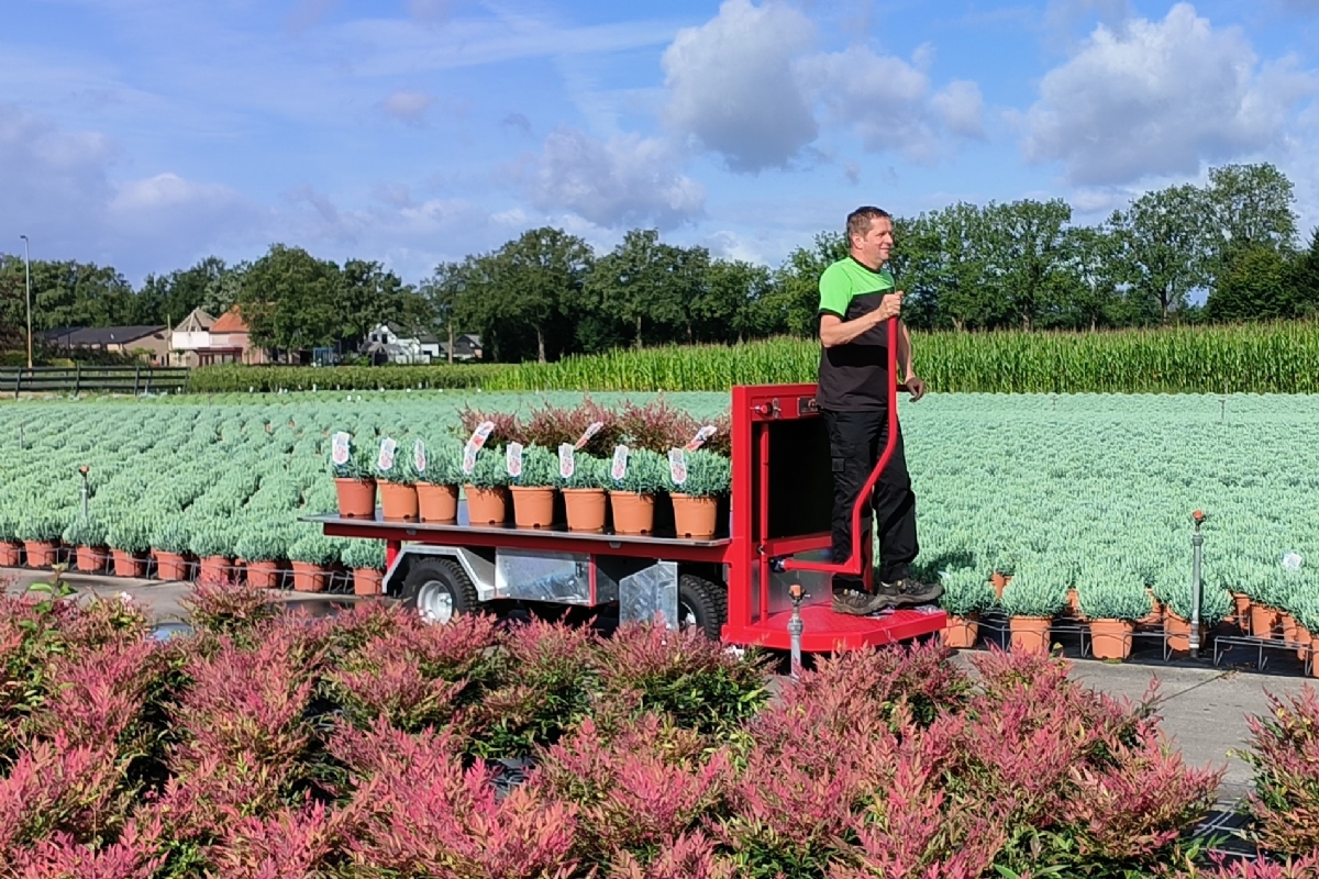 TH Machines bouwt innovatieve machines voor de potkwekerij