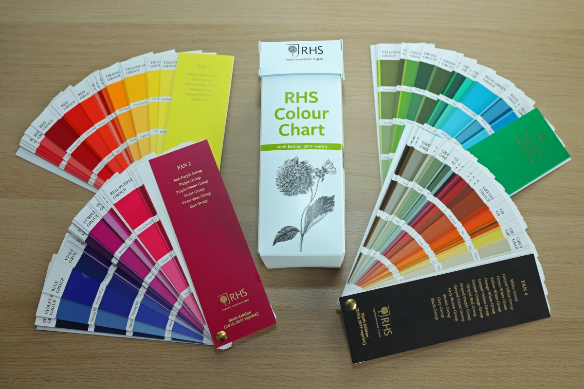 Hoe rood is rood - oftewel: waarom gebruiken we een kleurenkaart?